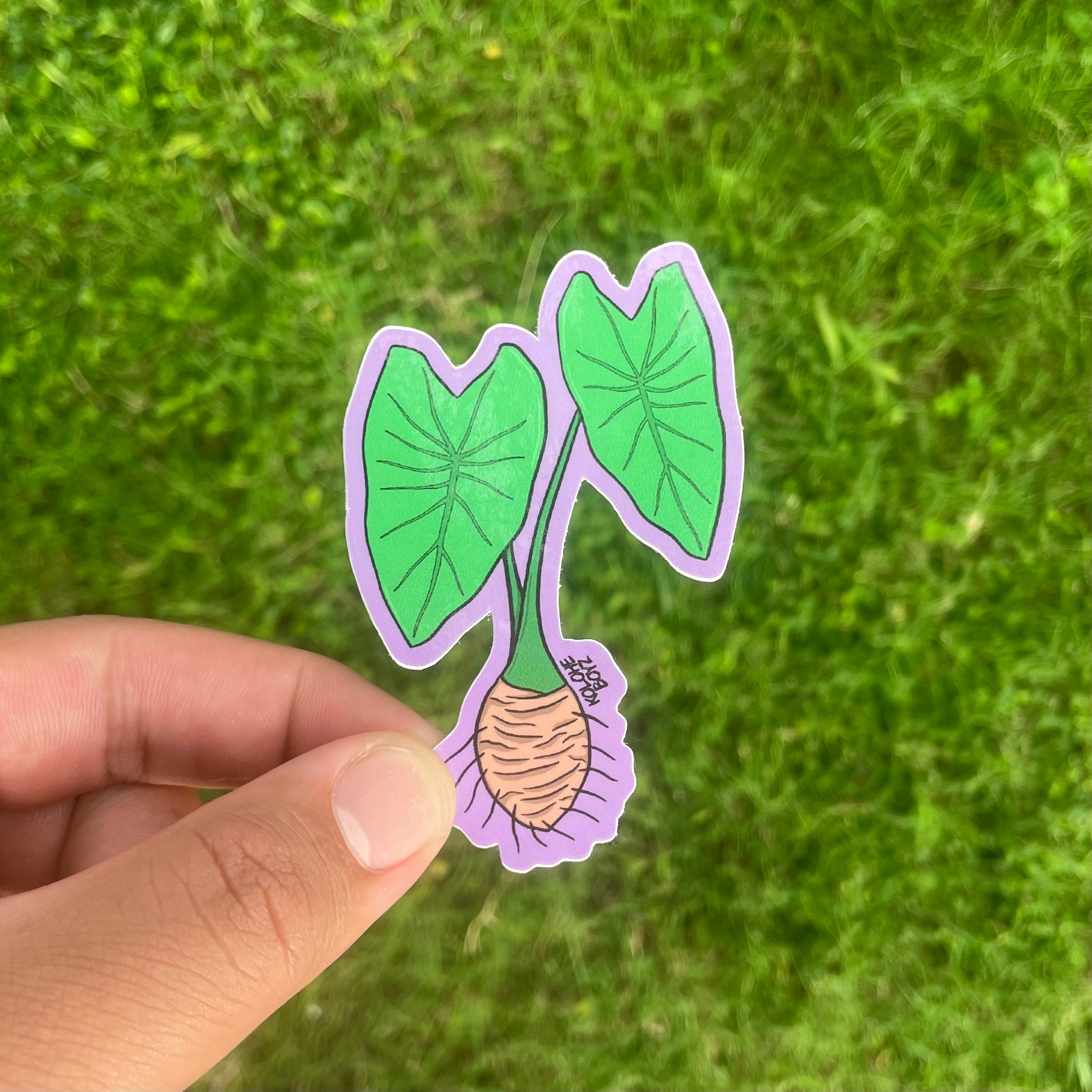 Kalo Sticker – Kolohe Boyz